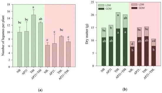 Stresses | Free Full-Text | Bioinput Inoculation in Common Beans to ...