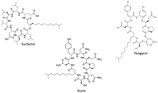 Regulation, Biosynthesis, and Extraction of Bacillus-Derived ...