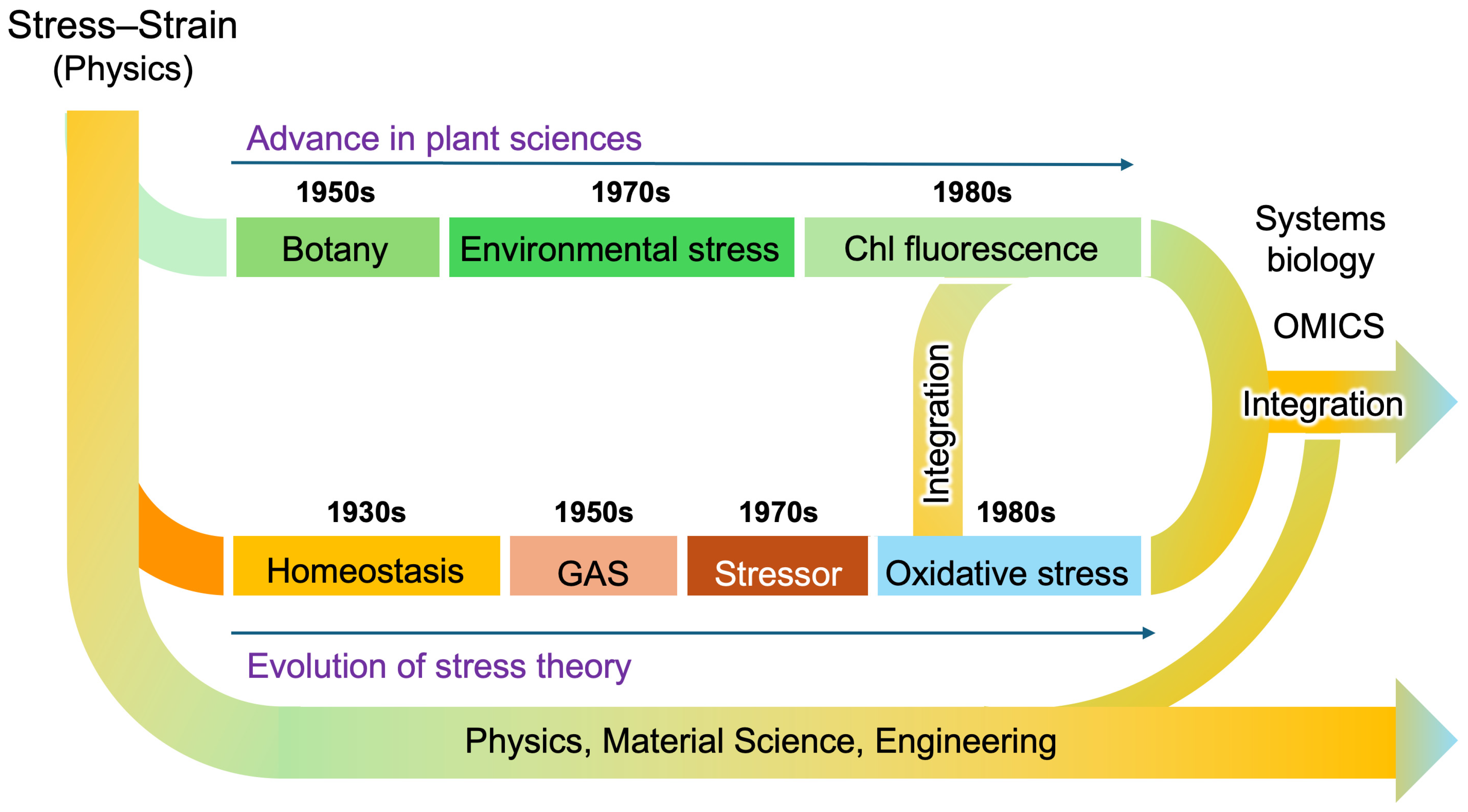 The Three-Body Problem in Stress Biology: The Balance Between O2, NO ...