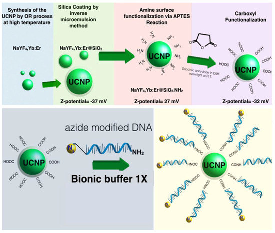 Surface Functionalisation of Upconversion Nanoparticles with Different ...