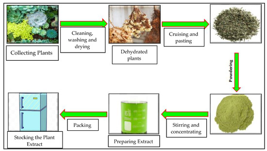 An Outline of Employing Metals and Alloys in Corrosive Settings with ...