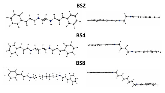 Surfaces | Free Full-Text | The Corrosion Inhibition Performance of Eco-Friendly bis-Schiff ...