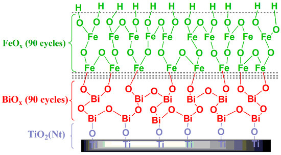 Surface Functionalization of TiO2 Nanotubes Modified with a Thin Film of BiFeO3
