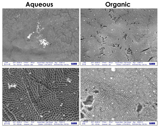 Studying the Photoactivity of Ag-Decorated TiO2 Nanotubes with Combined AFM and Raman Spectroscopy