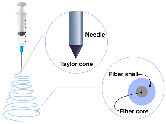 Electrospinning for Biomedical Applications: An Overview of Material ...