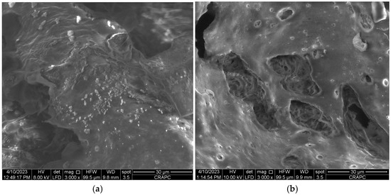Biopolymer-Based Microencapsulation of Bioactive Compounds: Evaluation ...