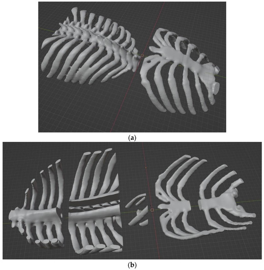 Utilizing Additive Manufacturing to Produce Organ Mimics and Imaging ...