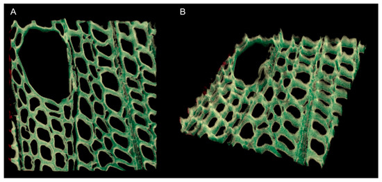 Three-Dimensional Imaging of Plant Cell Wall Deconstruction Using ...