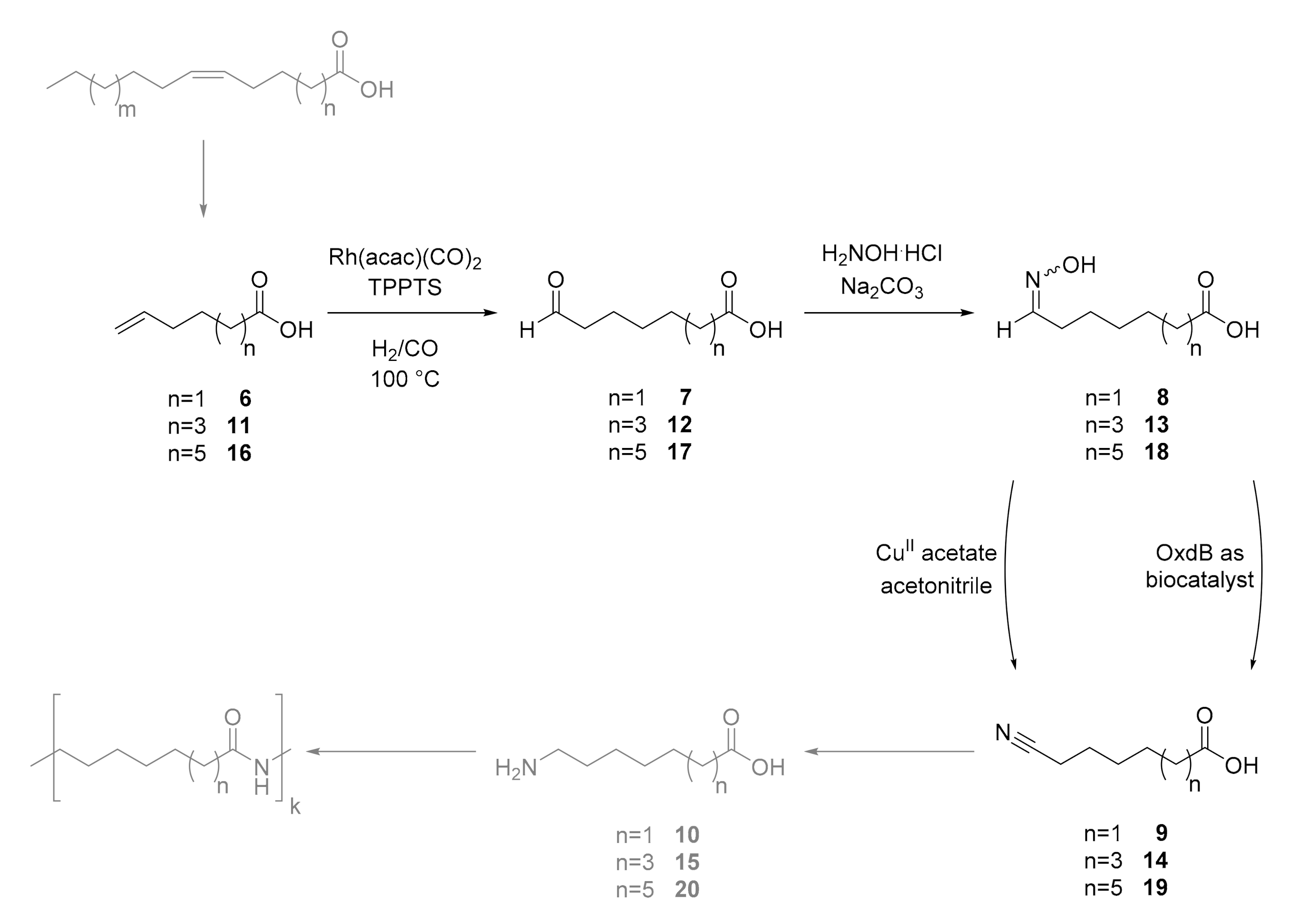 Synthesis of Bifunctional Molecules for the Production of Polymers ...