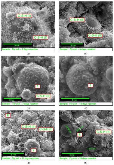 The Role of Pozzolanic Activity of Siliceous Fly Ash in the Formation ...