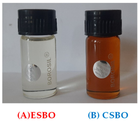 Studies on Biobased Non-Isocyanate Polyurethane Coatings with Potential ...