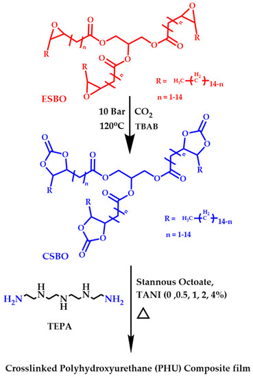 Studies on Biobased Non-Isocyanate Polyurethane Coatings with Potential ...