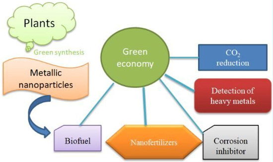The Multifaceted Perspective on the Role of Green Synthesis of ...