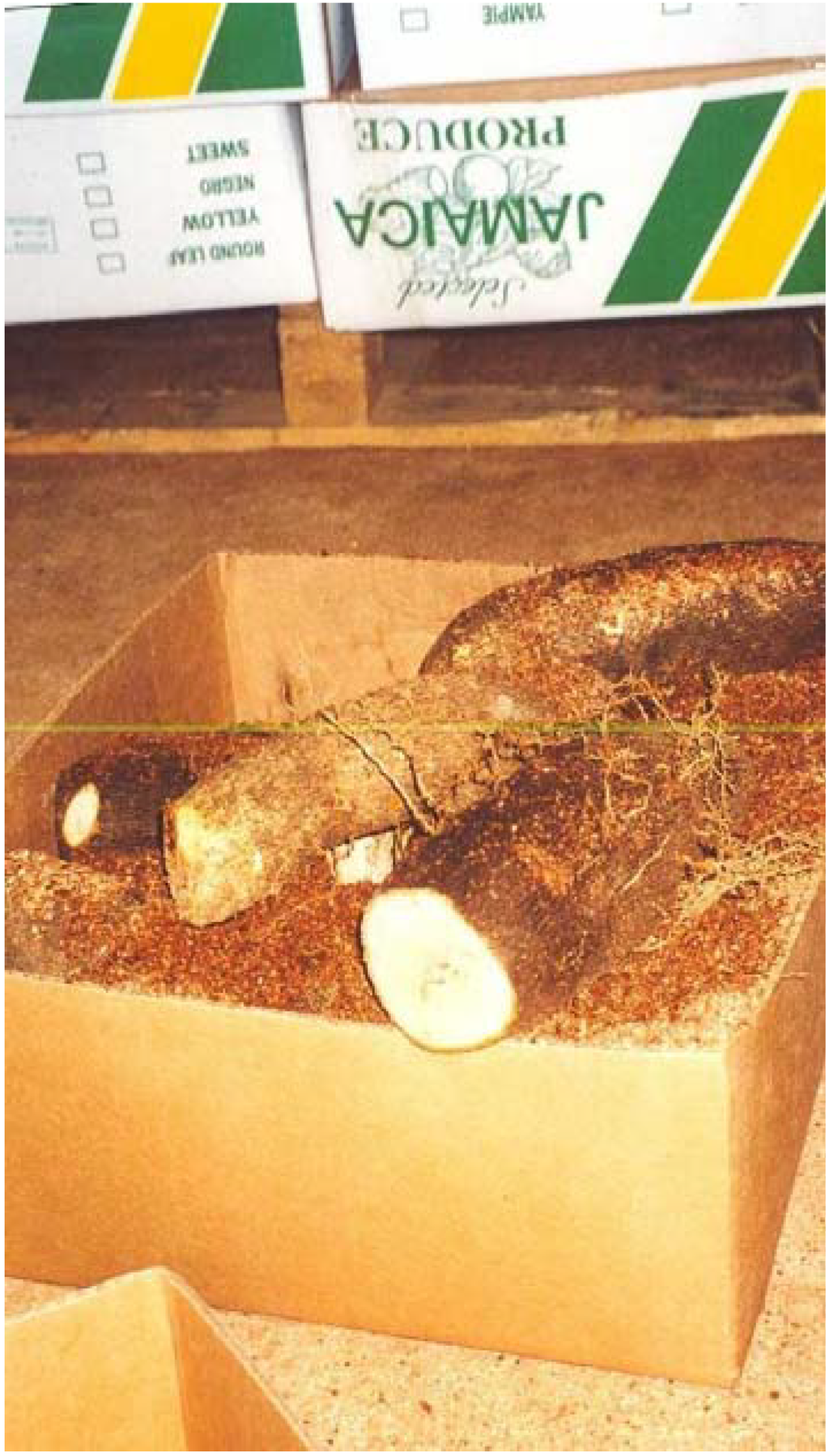 Sustainable Agriculture and Innovation Adoption in a Tropical Small ...