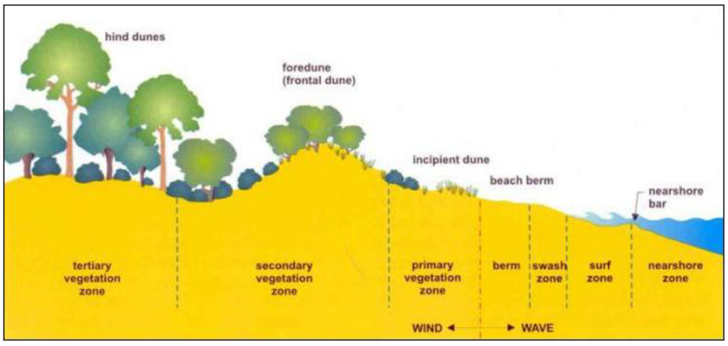Sustainability | Free Full-Text | Construction of an Environmentally ...