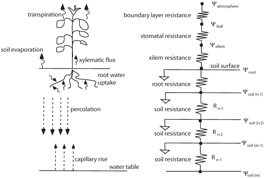 Measuring Soil Water Potential for Water Management in Agriculture: A ...