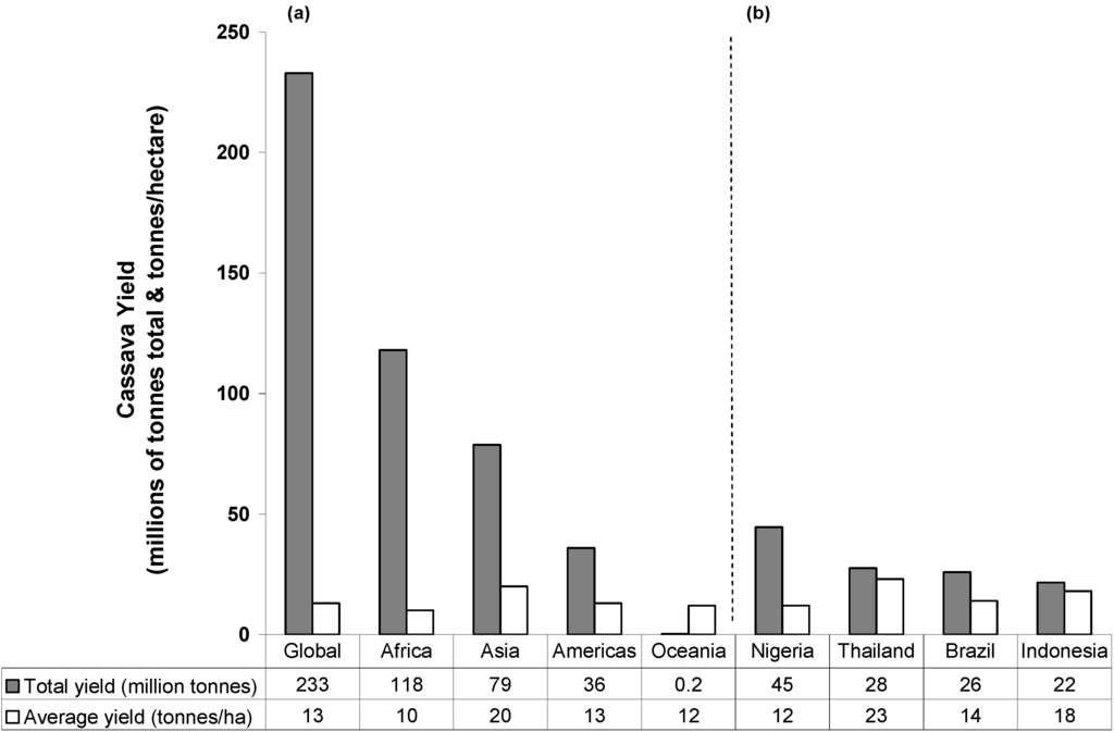 Cassava: The Drought, War and Famine Crop in a Changing World