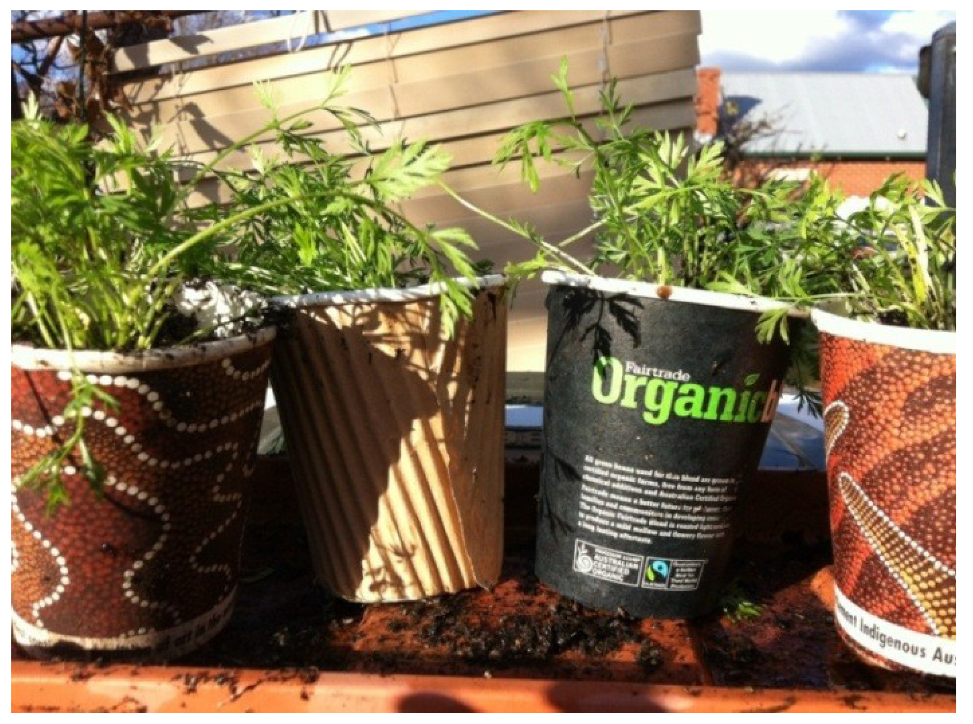 Education for Sustainability through a Photography Competition