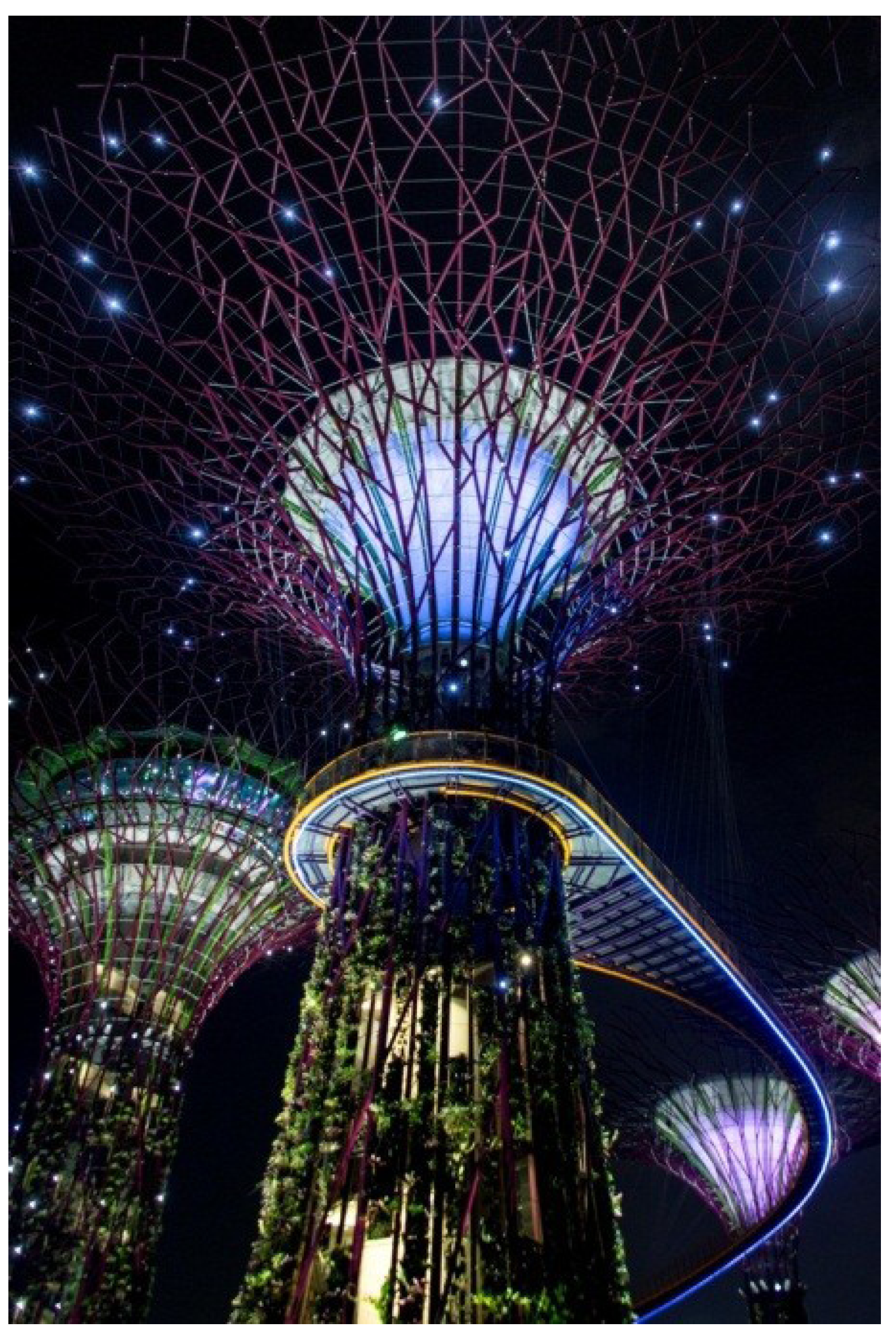 Education for Sustainability through a Photography Competition