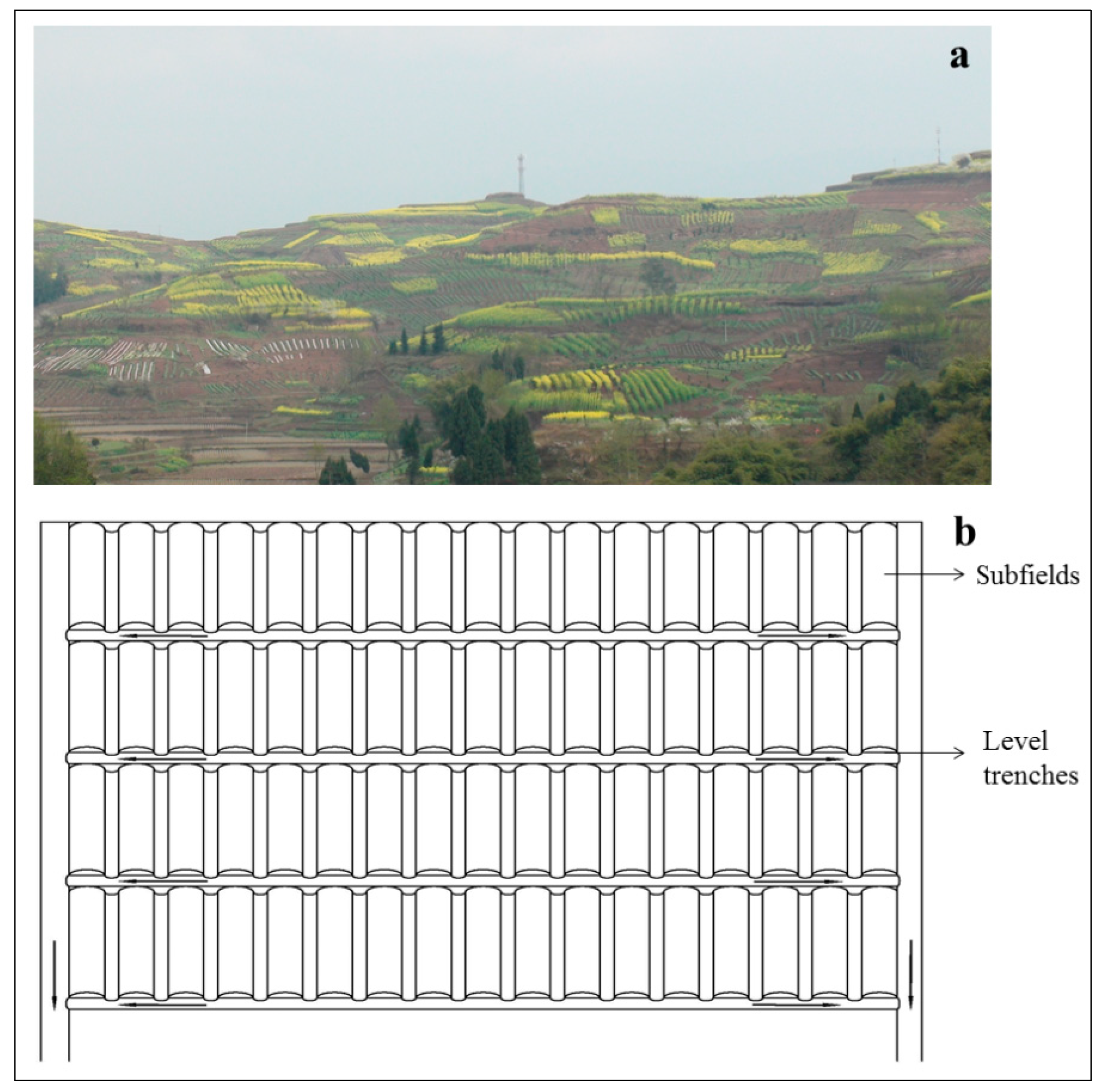 Farmers’ Sustainable Strategies for Soil Conservation on Sloping Arable ...