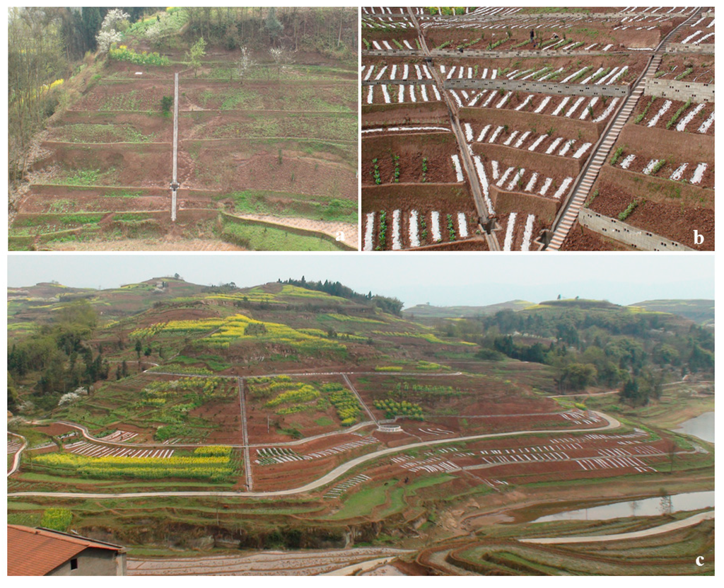 Farmers’ Sustainable Strategies for Soil Conservation on Sloping Arable ...