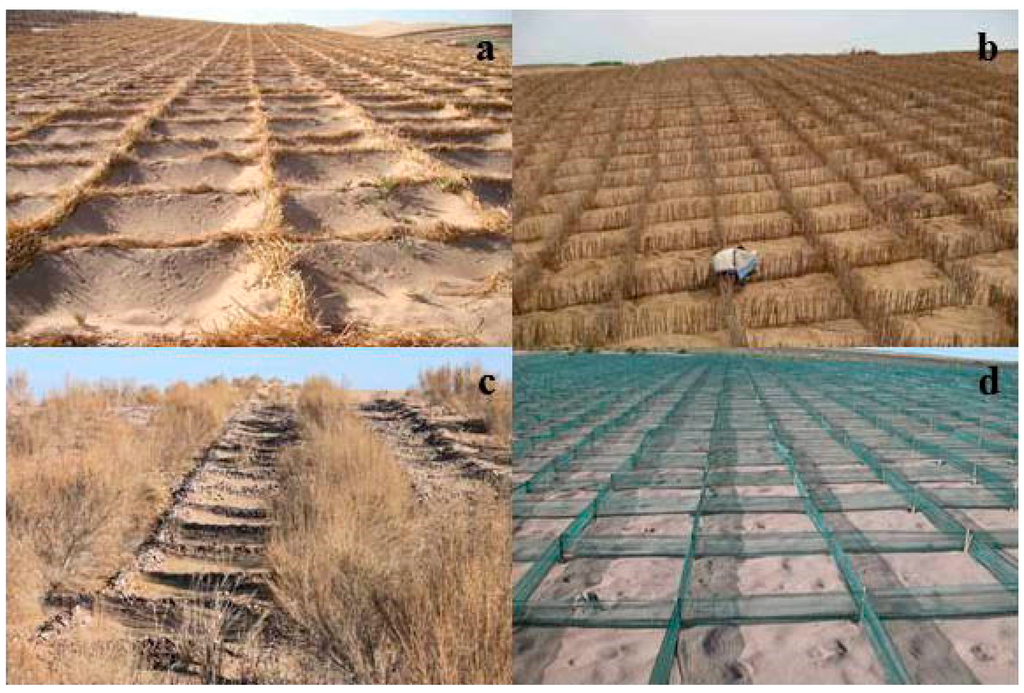 Wind Erosion Induced Soil Degradation in Northern China: Status ...