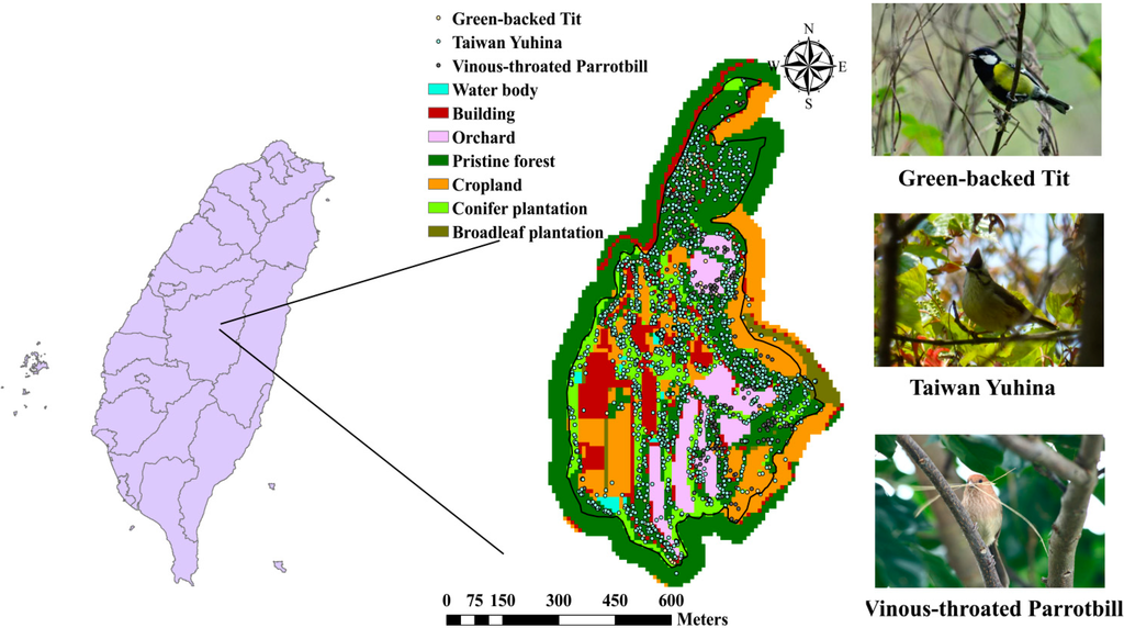 Developing a Cell-Based Spatial Optimization Model for Land-Use ...