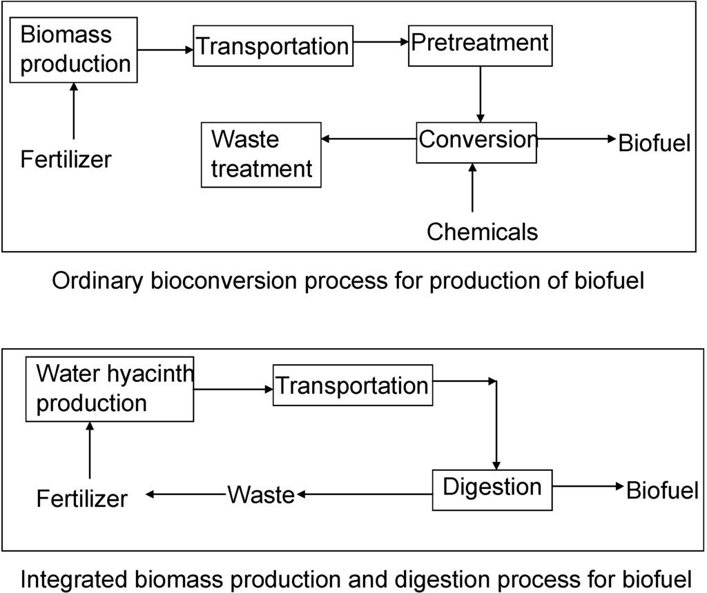 An Integrated Biomass Production and Conversion Process for Sustainable ...