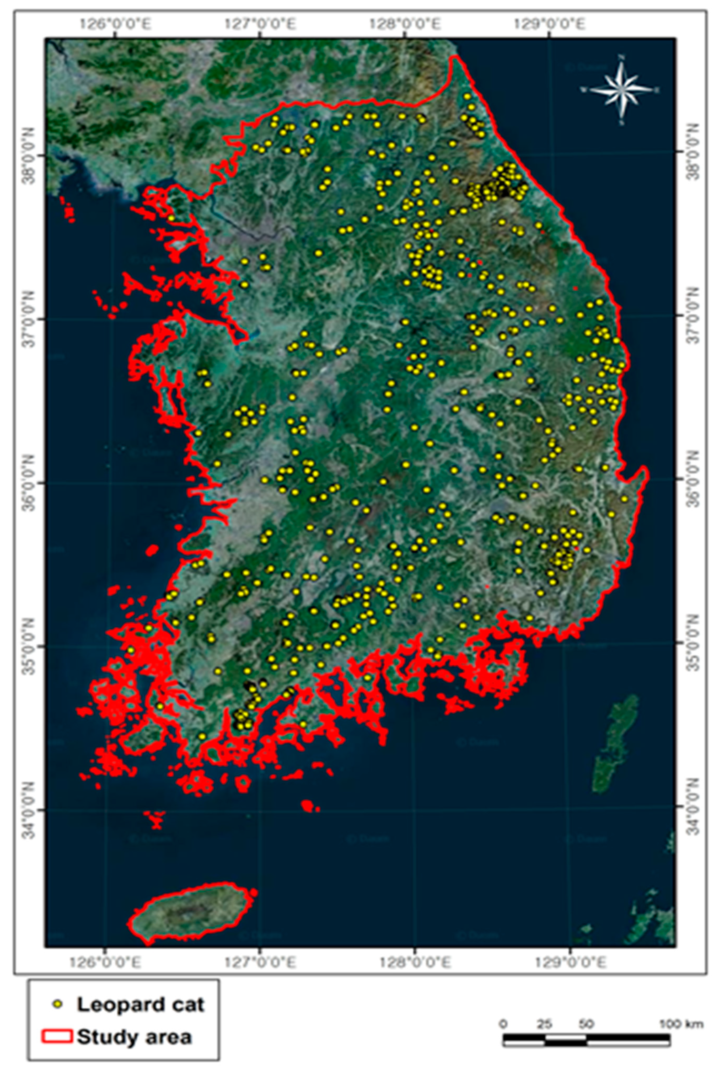 Habitat Mapping of the Leopard Cat (Prionailurus bengalensis) in South ...