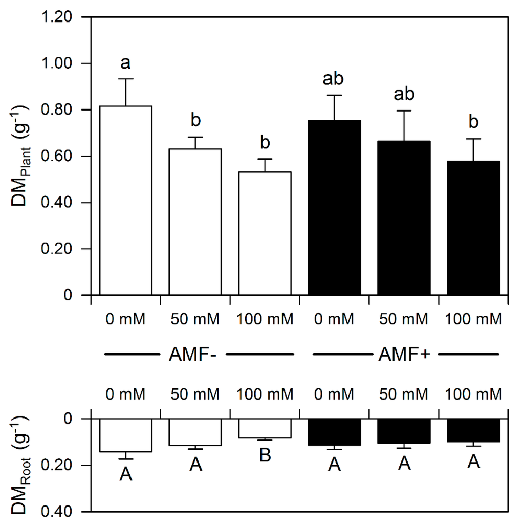 AMF Inoculation Enhances Growth and Improves the Nutrient Uptake Rates ...