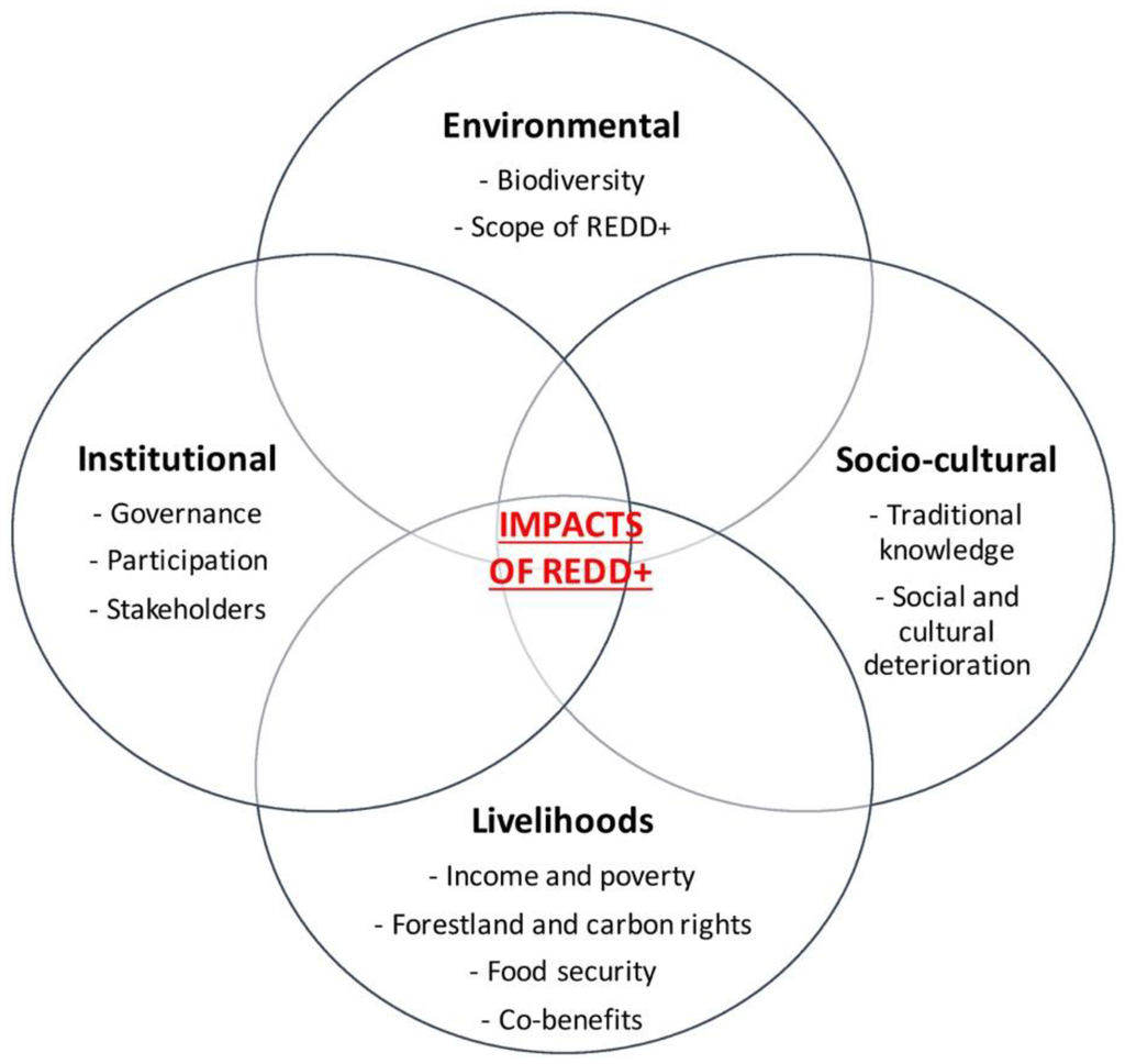 Ten Years of REDD+: A Critical Review of the Impact of REDD+ on Forest ...