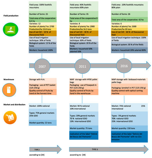 Sustainability | Free Full-Text | Blueberry Supply Chain in Italy ...