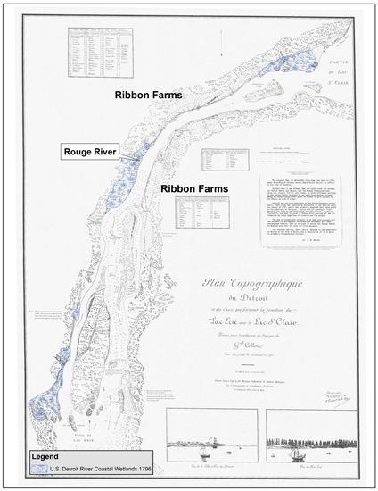 Historical Loss and Current Rehabilitation of Shoreline Habitat along ...