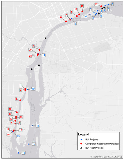 Sustainability | Free Full-Text | Historical Loss and Current ...