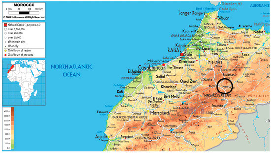 Realities, Perceptions, Challenges and Aspirations of Rural Youth in ...