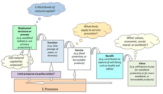 Ecosystem Services as a Boundary Concept: Arguments from Social Ecology