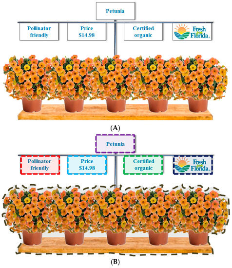 Visual Attention to Eco-Labels Predicts Consumer Preferences for ...