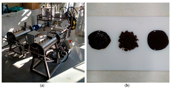 Sustainability Biogas Production from Ensiled Plants Consisting of the ...