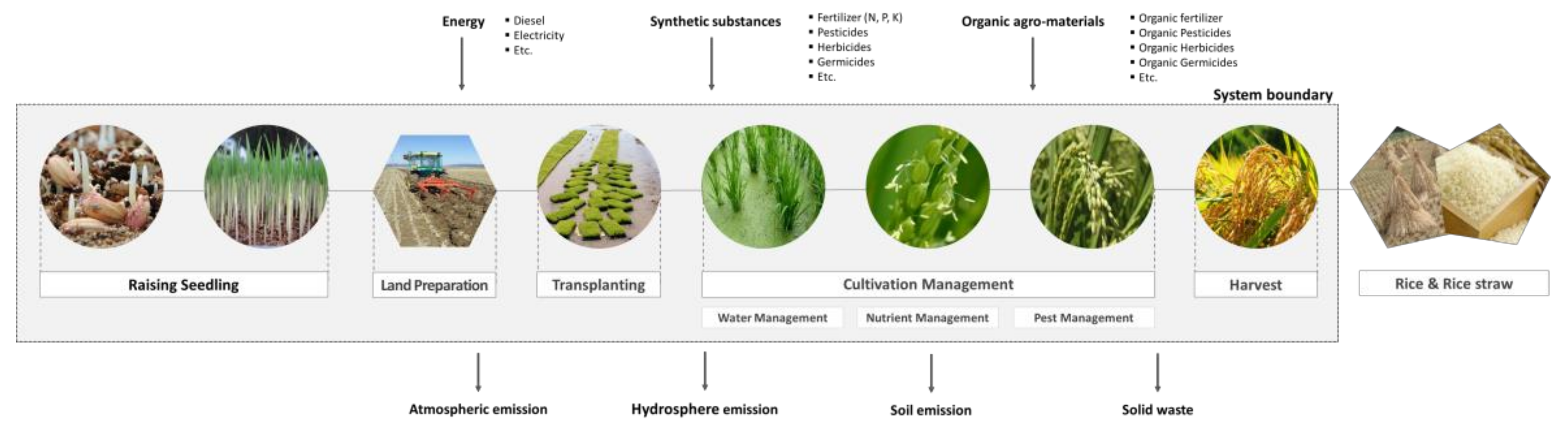 Sustainability | Free Full-Text | Environmental Implications of Eco ...