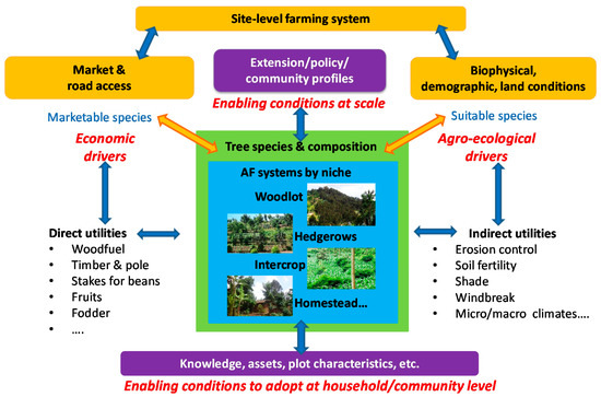 Sustainability | Special Issue : Land-Use Competition