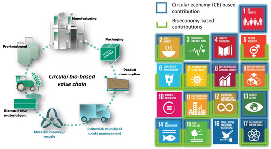 Bridging the Gaps for a ‘Circular’ Bioeconomy: Selection Criteria, Bio ...