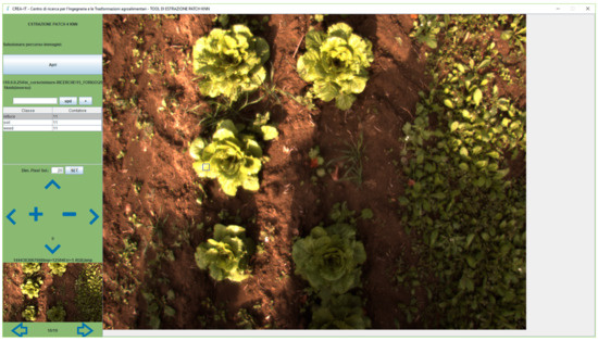 Machine Vision Retrofit System for Mechanical Weed Control in Precision ...