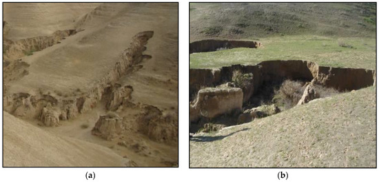 Sustainability | Free Full-Text | Assessment of the Sustainability of ...