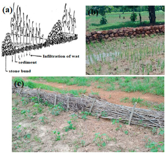Soil and Water Conservation in Burkina Faso, West Africa