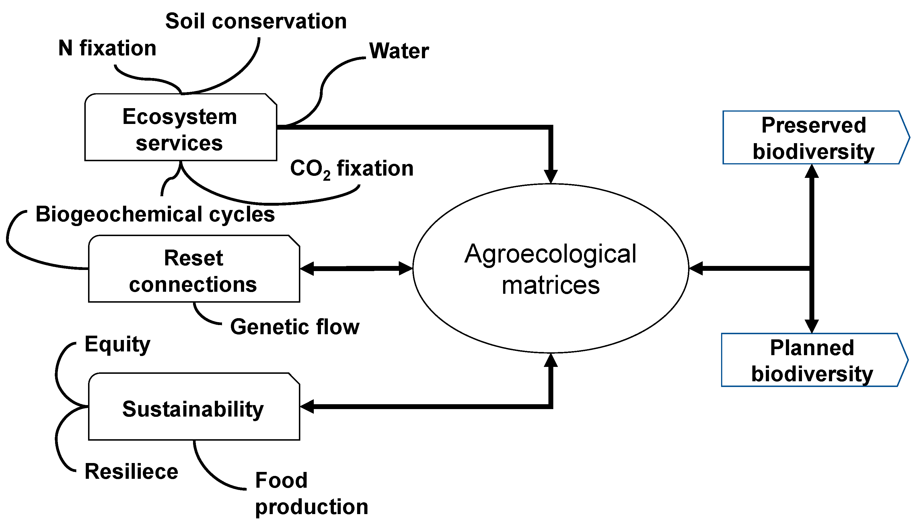Complex Systems, Agroecological Matrices, and Management of Forest ...