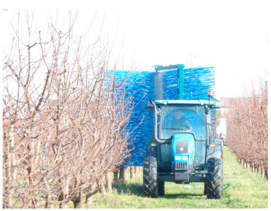 Evaluation of a New Machine for Flower and Fruit Thinning in Stone Fruits