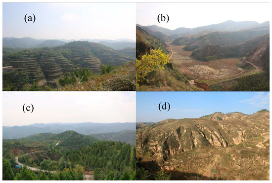 Vegetation Restoration and Its Environmental Effects on the Loess Plateau
