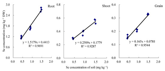 Selenium Distribution and Translocation in Rice (Oryza sativa L.) under ...