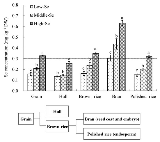 Selenium Distribution and Translocation in Rice (Oryza sativa L.) under ...
