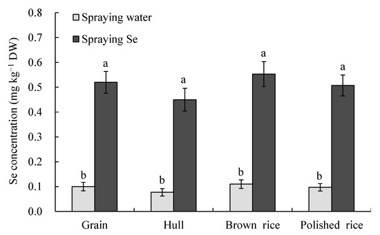 Selenium Distribution and Translocation in Rice (Oryza sativa L.) under ...